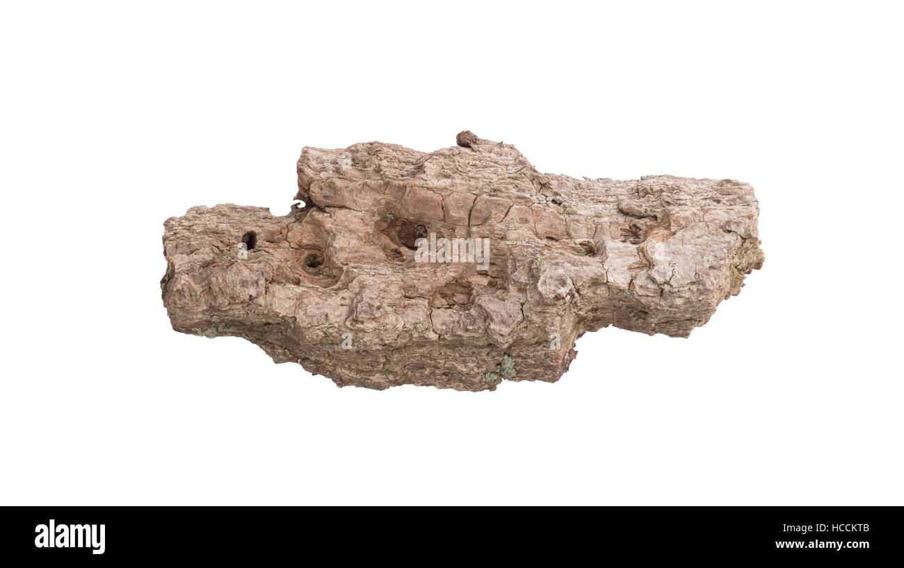 Tree bark isolated on a white background Stock Photo - Alamy