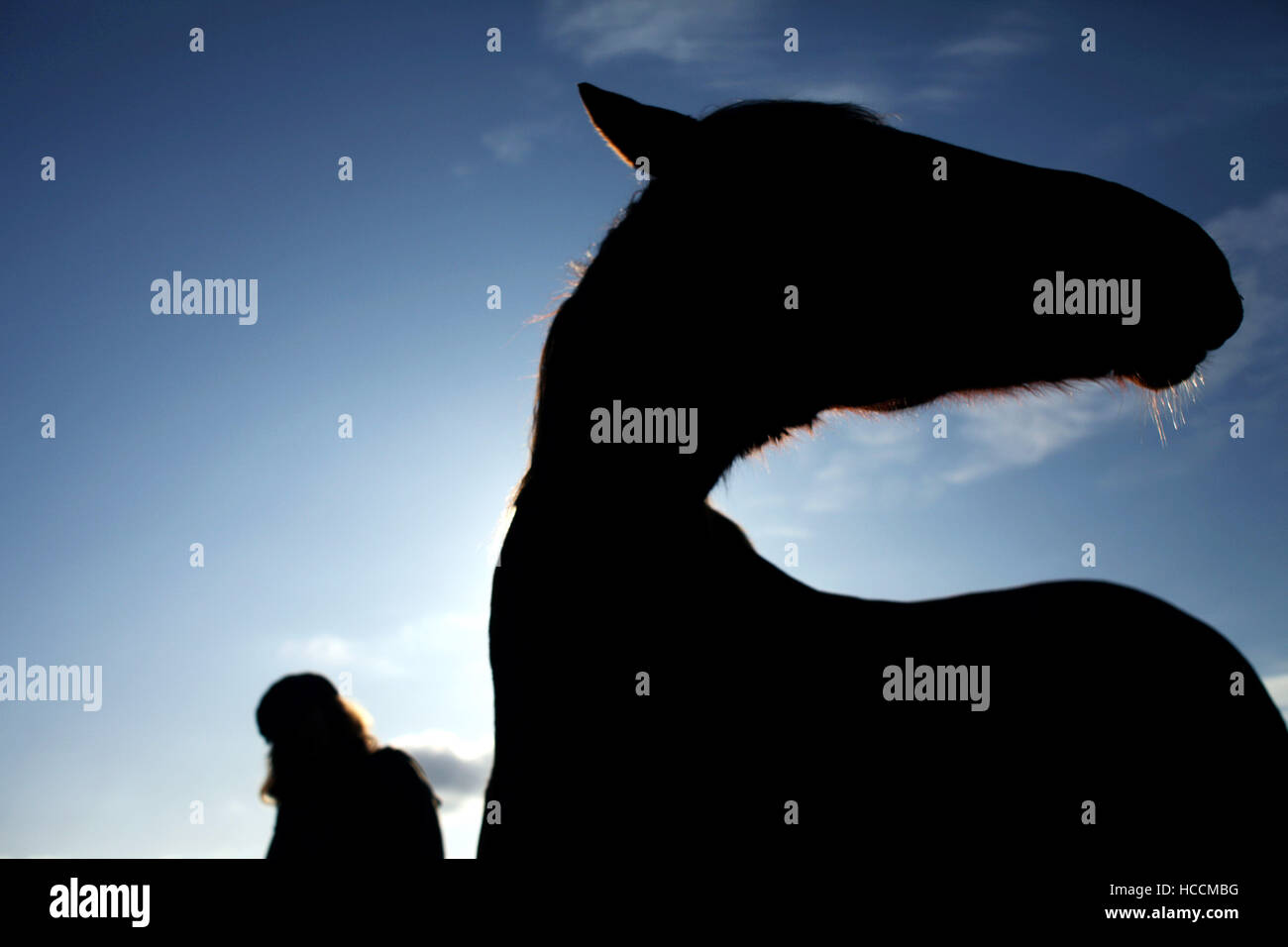 THE EDGE OF DREAMING, Amy Hardie (left), 2009. ph: Ian Dodds/©Koch ...