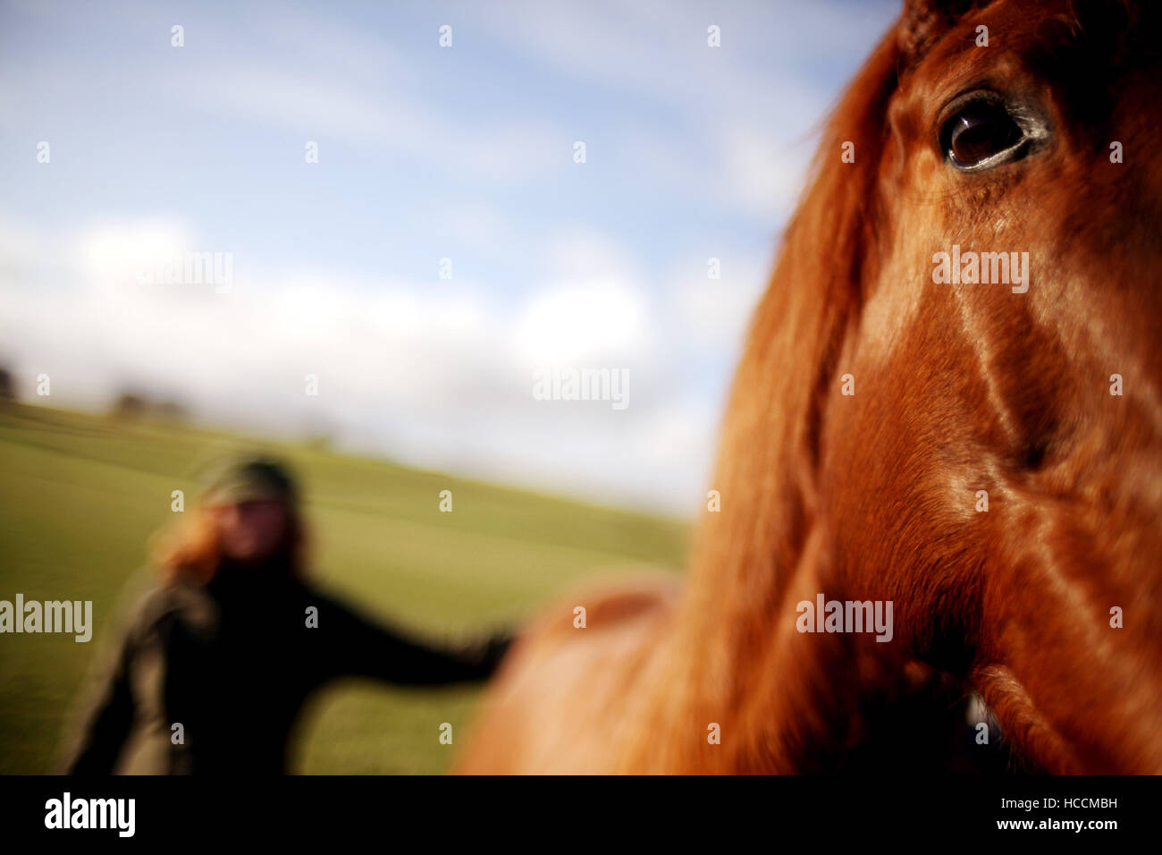 THE EDGE OF DREAMING, Amy Hardie (left), 2009. ©Koch Lorber Films ...