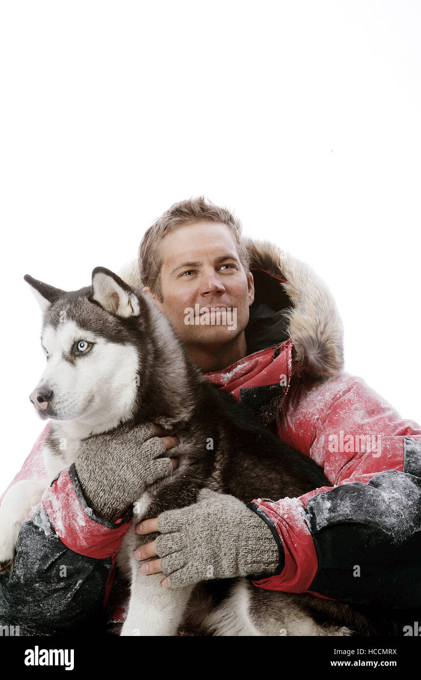 EIGHT BELOW, Paul Walker, 2006, (c) Walt Disney/courtesy Everett ...
