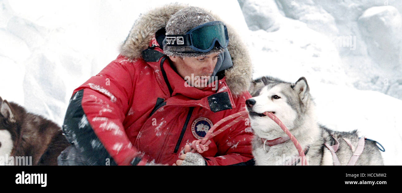 EIGHT BELOW, Max, 2006, (c) Walt Disney/courtesy Everett Collection ...