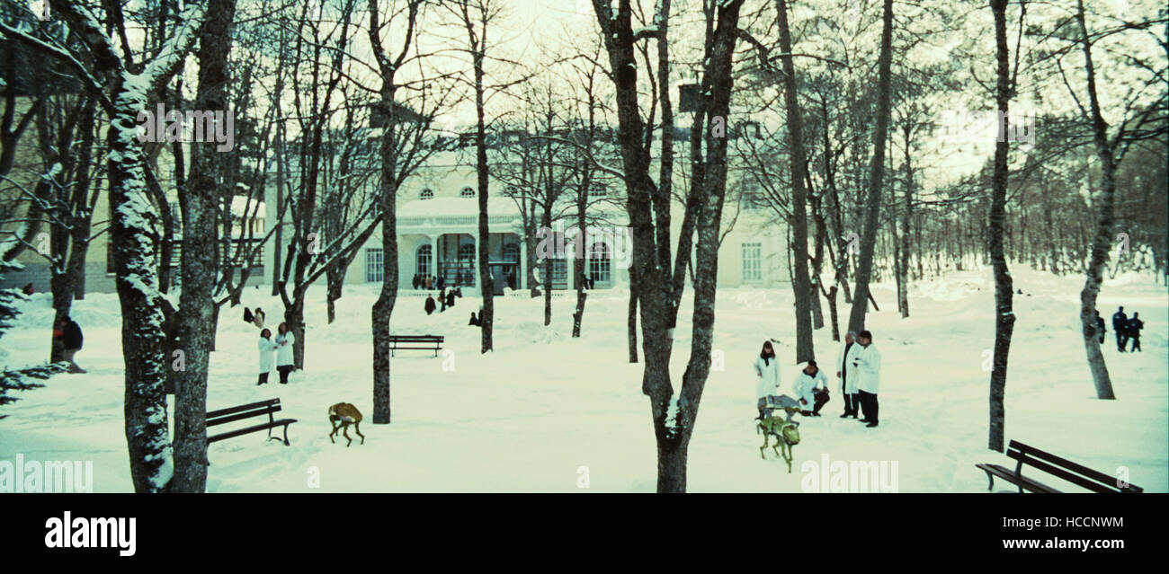 EVA, 2011. ©Weinstein Company/Courtesy Everett Collection Stock Photo ...