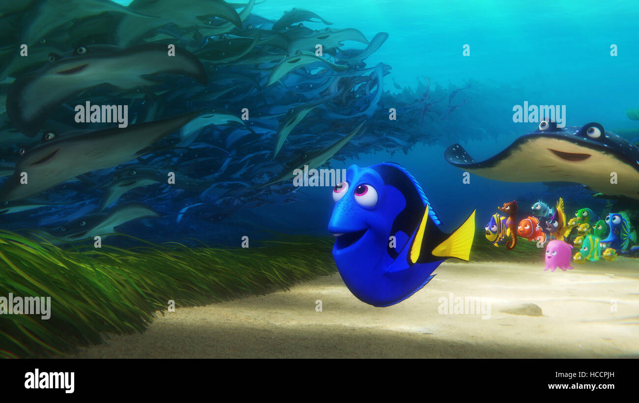 Dory finding nemo hi-res stock photography and images - Alamy