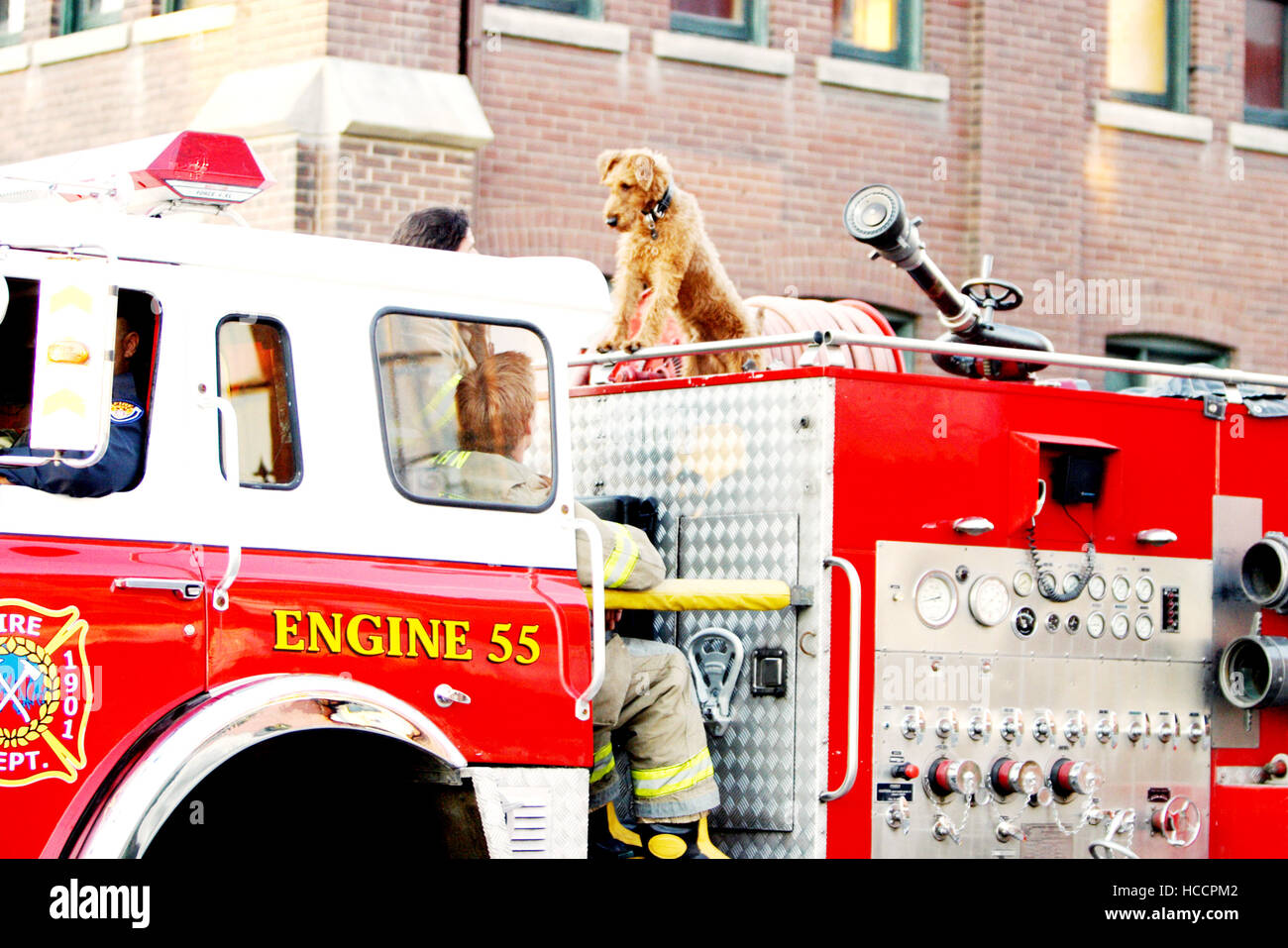 FIREHOUSE DOG, Rexxx the dog, 2007. TM and Copyright ©20th Century Fox ...