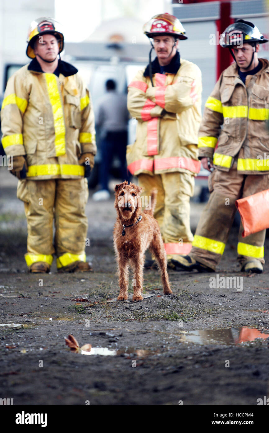 FIREHOUSE DOG, Rexxx the dog (foreground), 2007. TM and Copyright ©20th ...