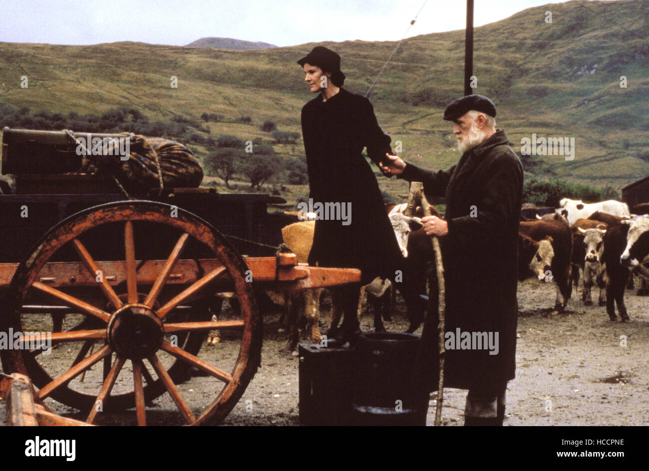 THE FIELD, Richard Harris (right), 1990, (c) Avenue Pictures/courtesy ...