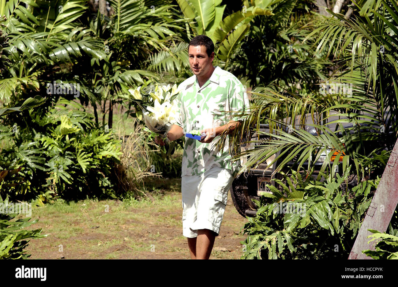 50 FIRST DATES, Adam Sandler, 2004, (c) Columbia/courtesy Everett ...