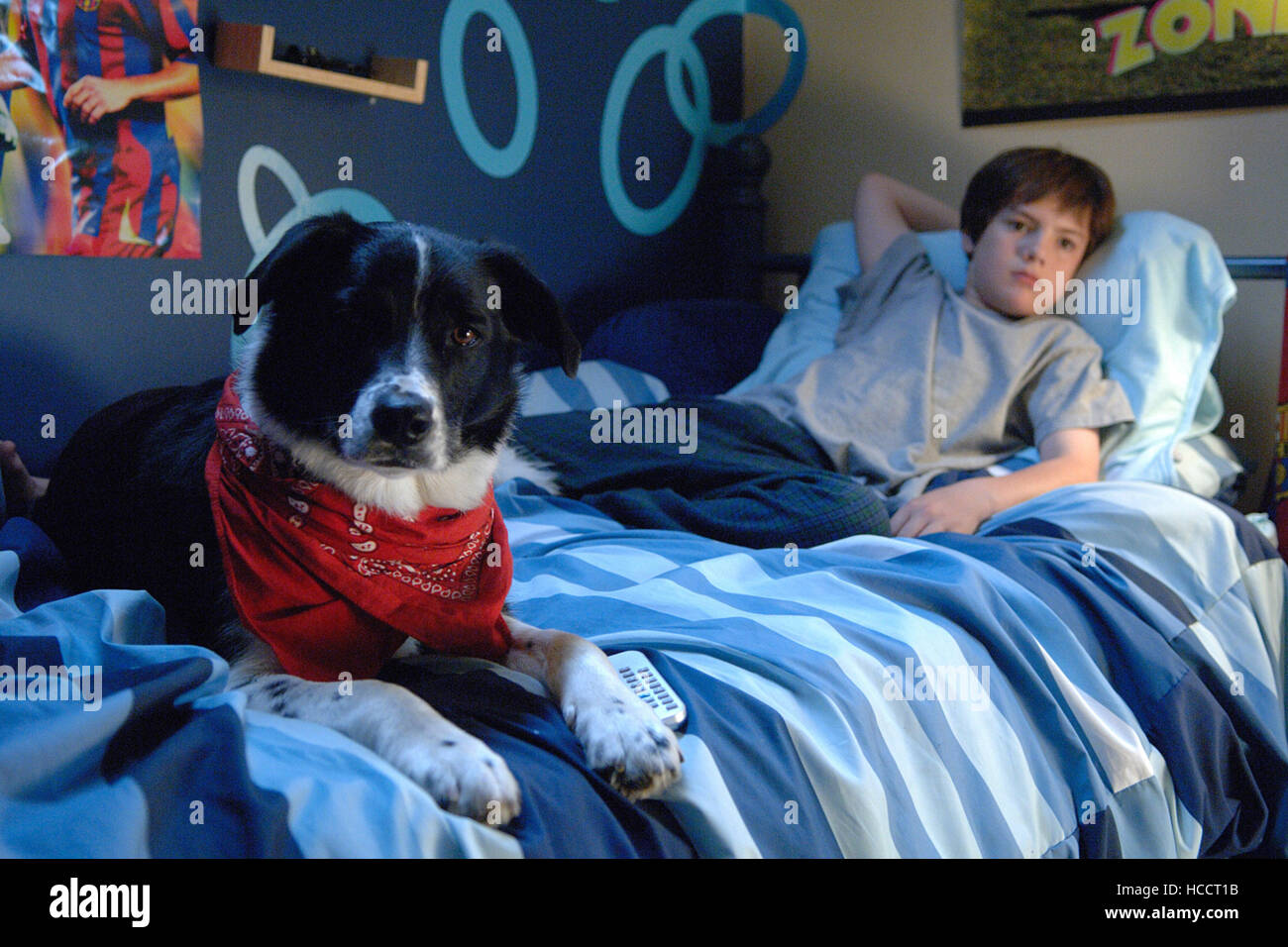 FINN ON THE FLY, Matthew Knight, 2008. ©Oasis International/Courtesy ...