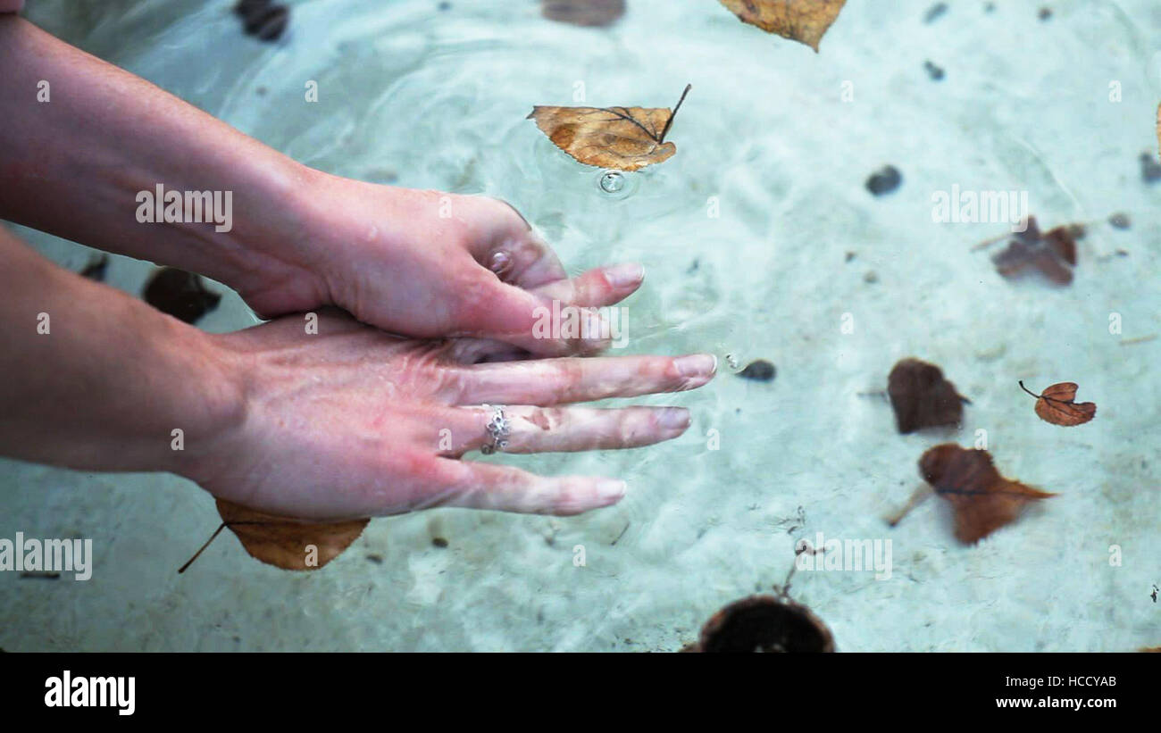 GOODBYE TO LANGUAGE 3D, (aka ADIEU AU LANGAGE), 2014. ©Kino Lorber ...