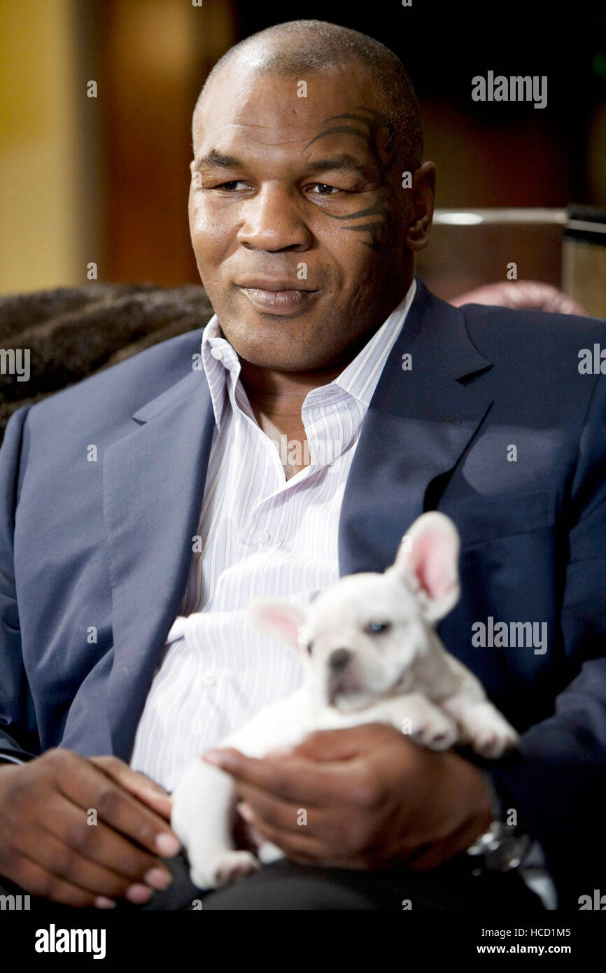 THE HANGOVER, Mike Tyson, 2009. Ph: Frank Masi/©Warner Bros./Courtesy ...