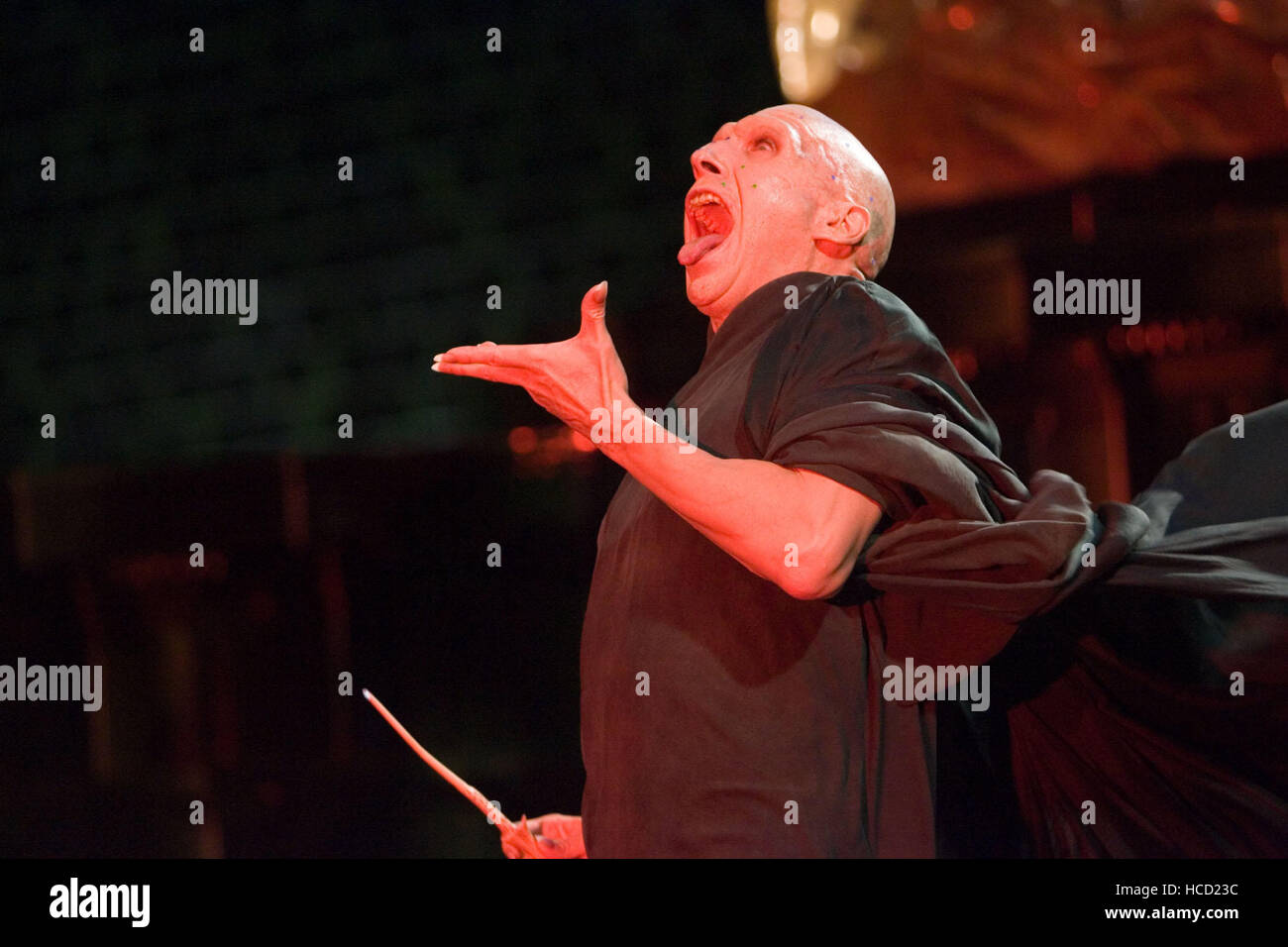 HARRY POTTER AND THE ORDER OF THE PHOENIX, Ralph Fiennes, 2007. ©Warner ...