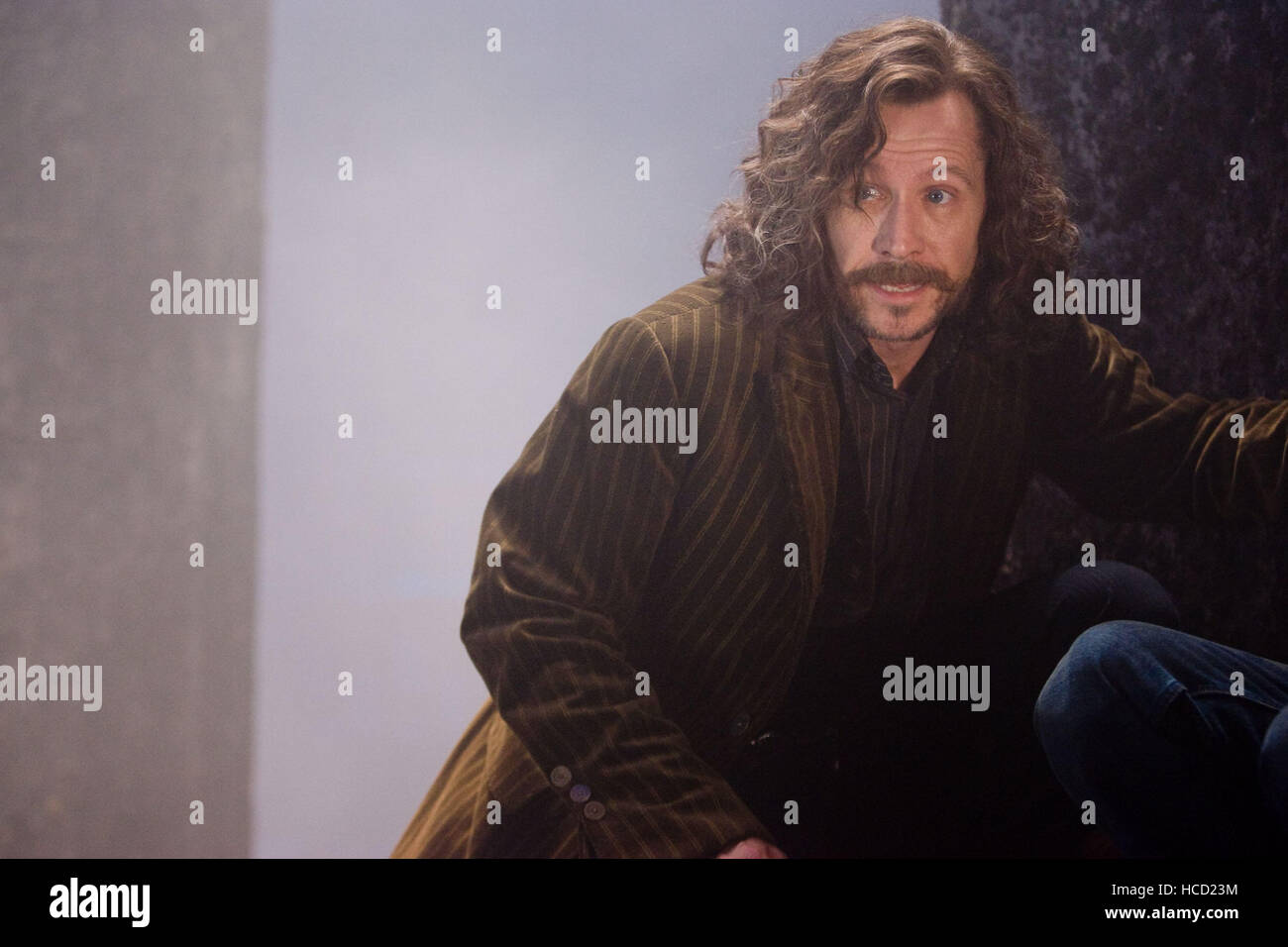 HARRY POTTER AND THE ORDER OF THE PHOENIX, Gary Oldman, 2007. ©Warner ...