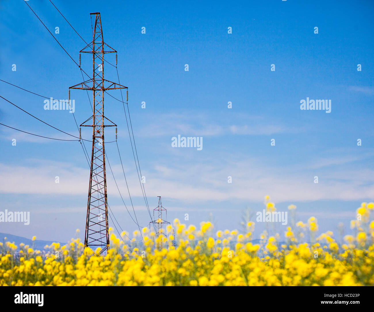Vast field with yellow crops and a power lines on tall electrical pylon ...