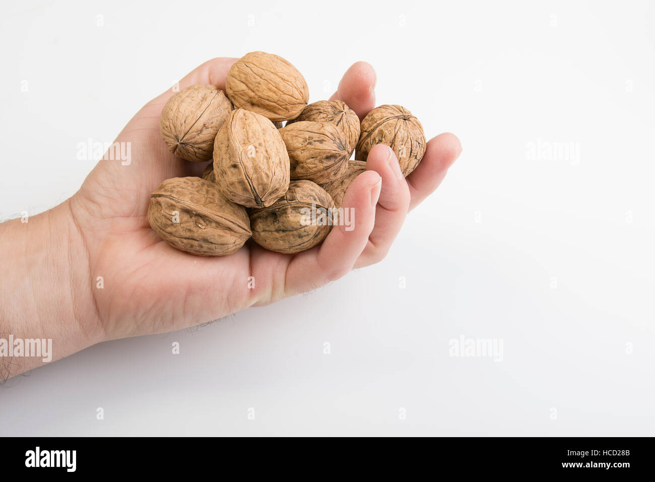 the nuts on the hand Stock Photo - Alamy