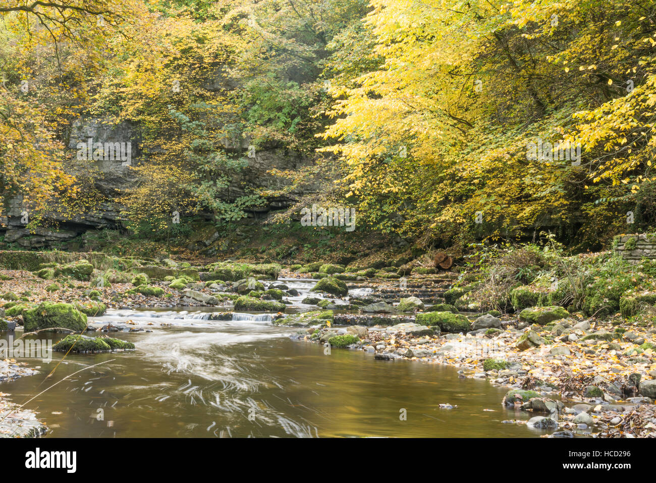 Autumn at West Burton Falls in the Yorkshire Dales Stock Photo - Alamy
