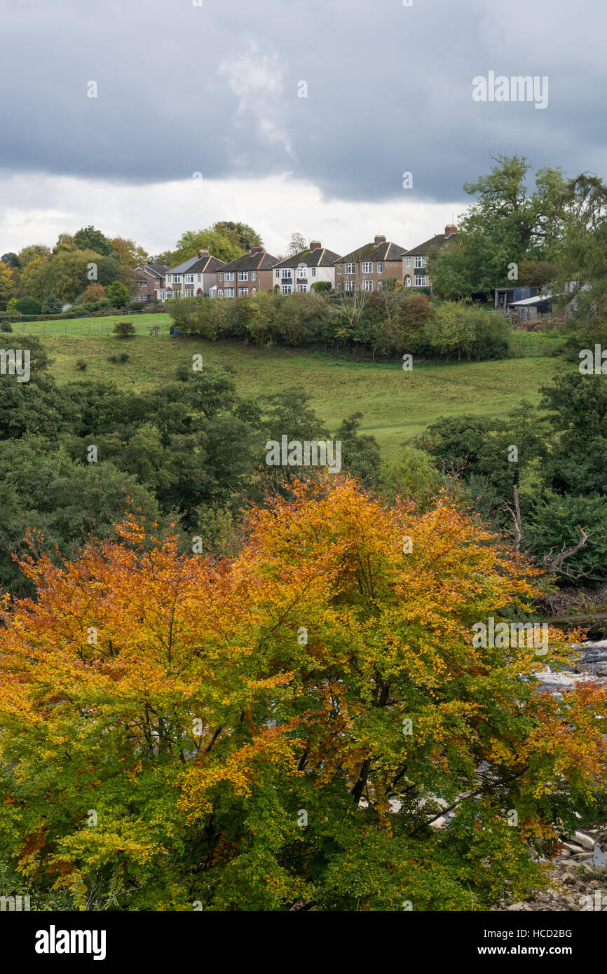 Rural semi detached houses beyond autumn trees Stock Photo - Alamy