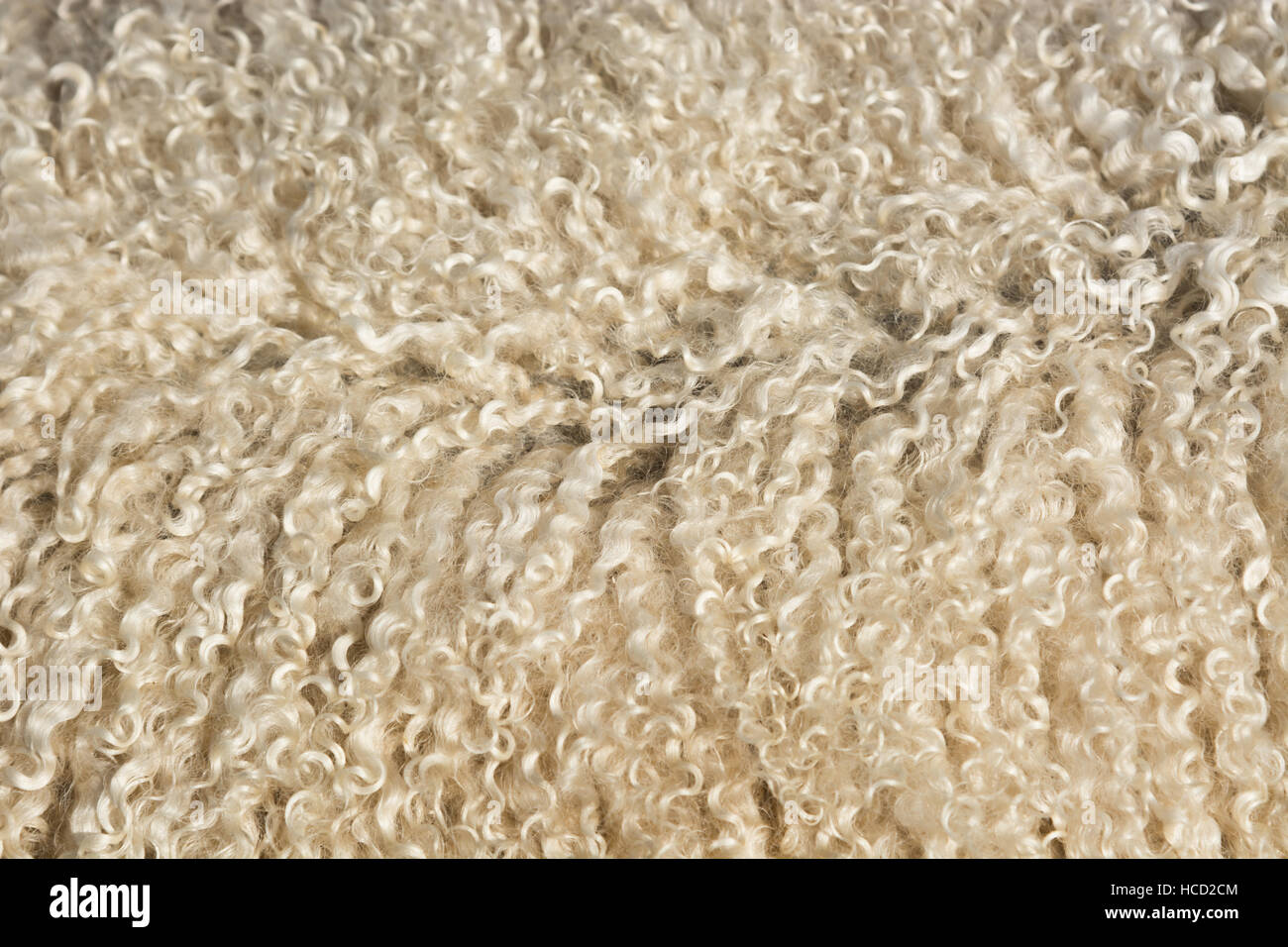 Sheeps fleece hi-res stock photography and images - Alamy