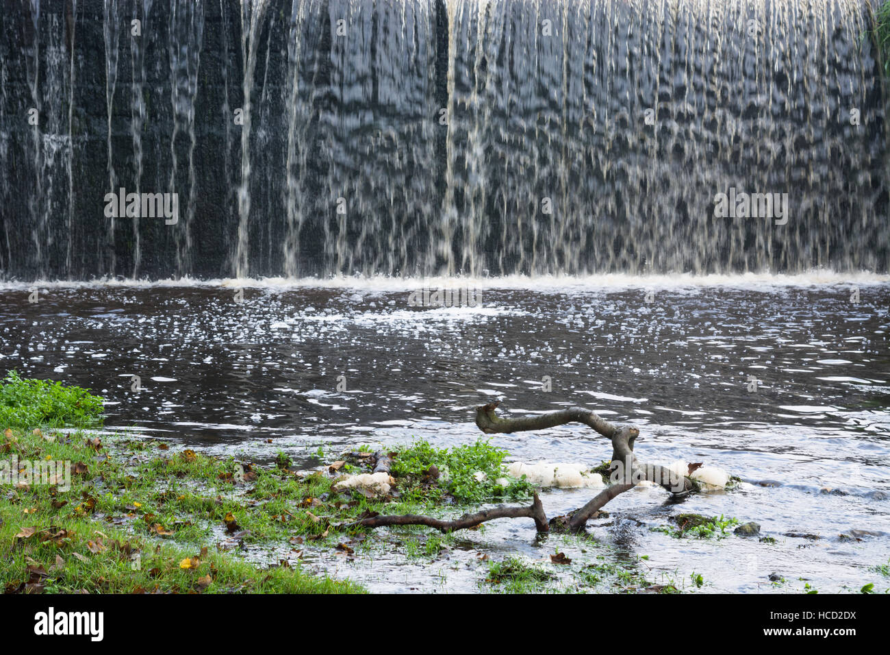 Waterfall and tree branch Stock Photo - Alamy