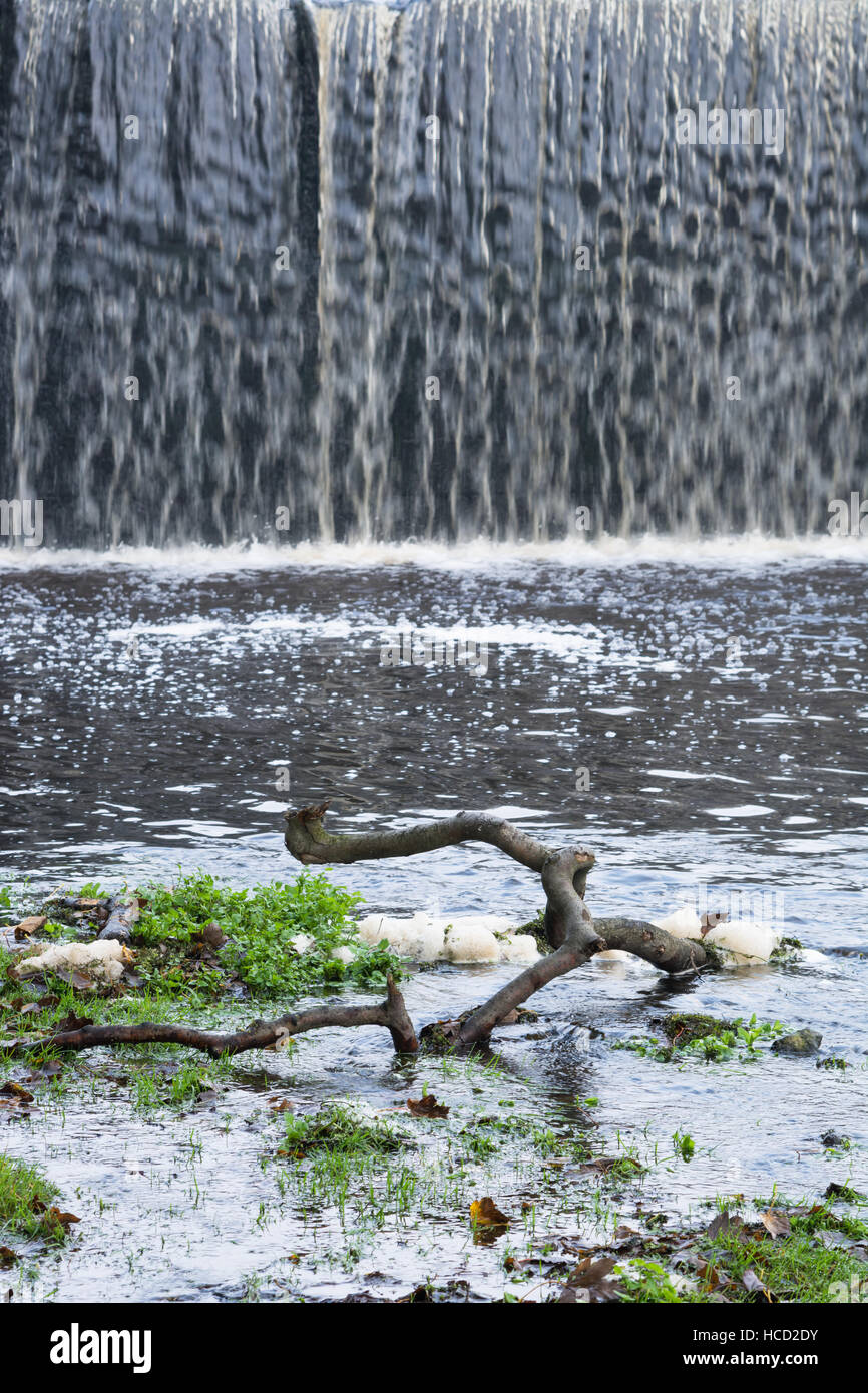 Waterfall and tree branch Stock Photo - Alamy