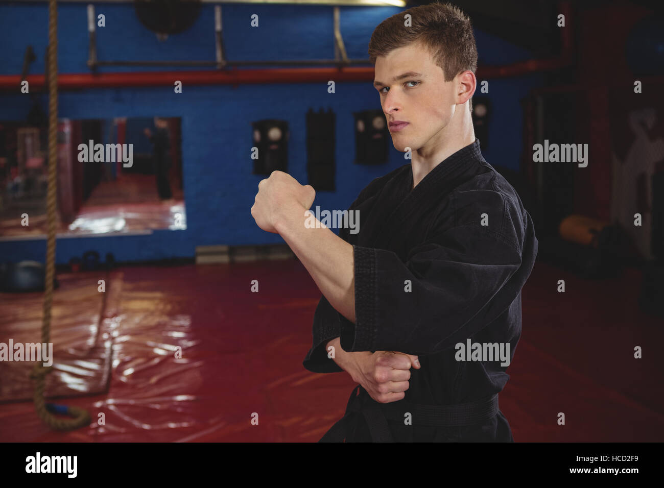 Karate player performing karate stance Stock Photo - Alamy