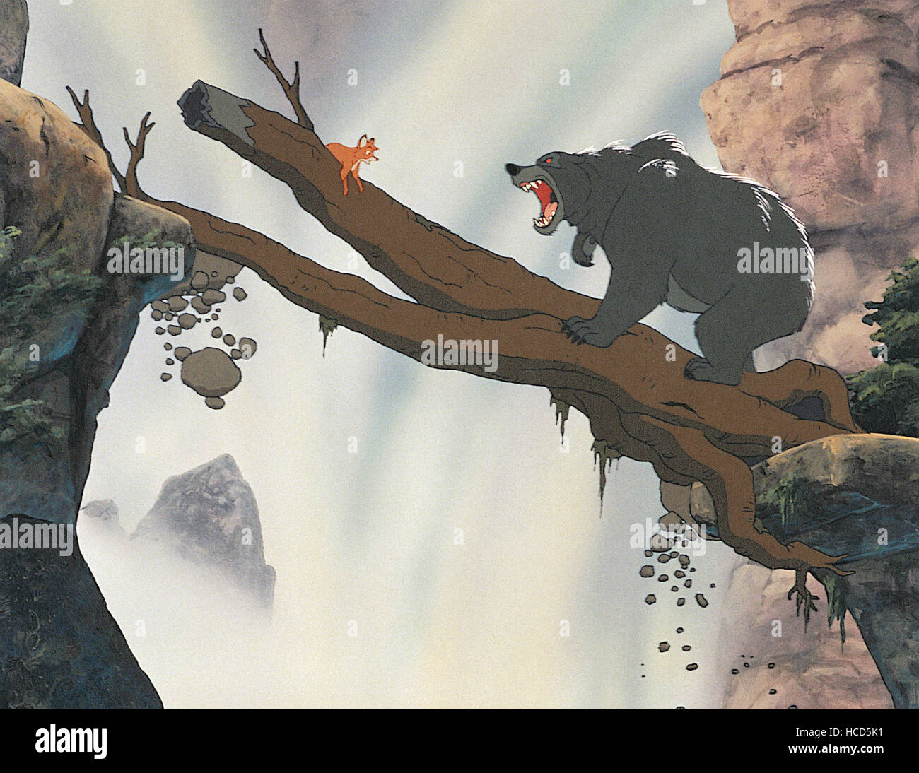 THE FOX AND THE HOUND, Tod, Bear, 1981, ©Walt Disney Pictures/courtesy ...