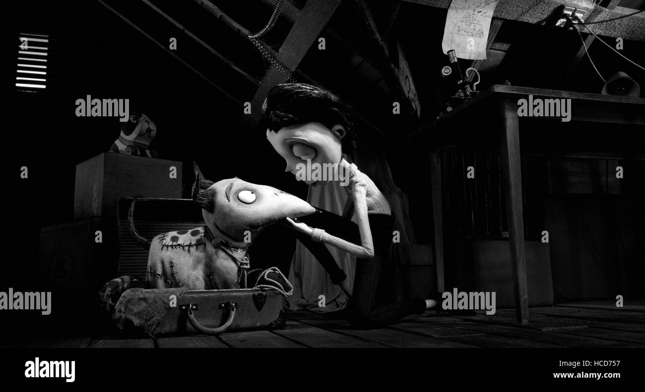 FRANKENWEENIE, from left: Sparky, Victor (voice: Charlie Tahan), 2012 ...