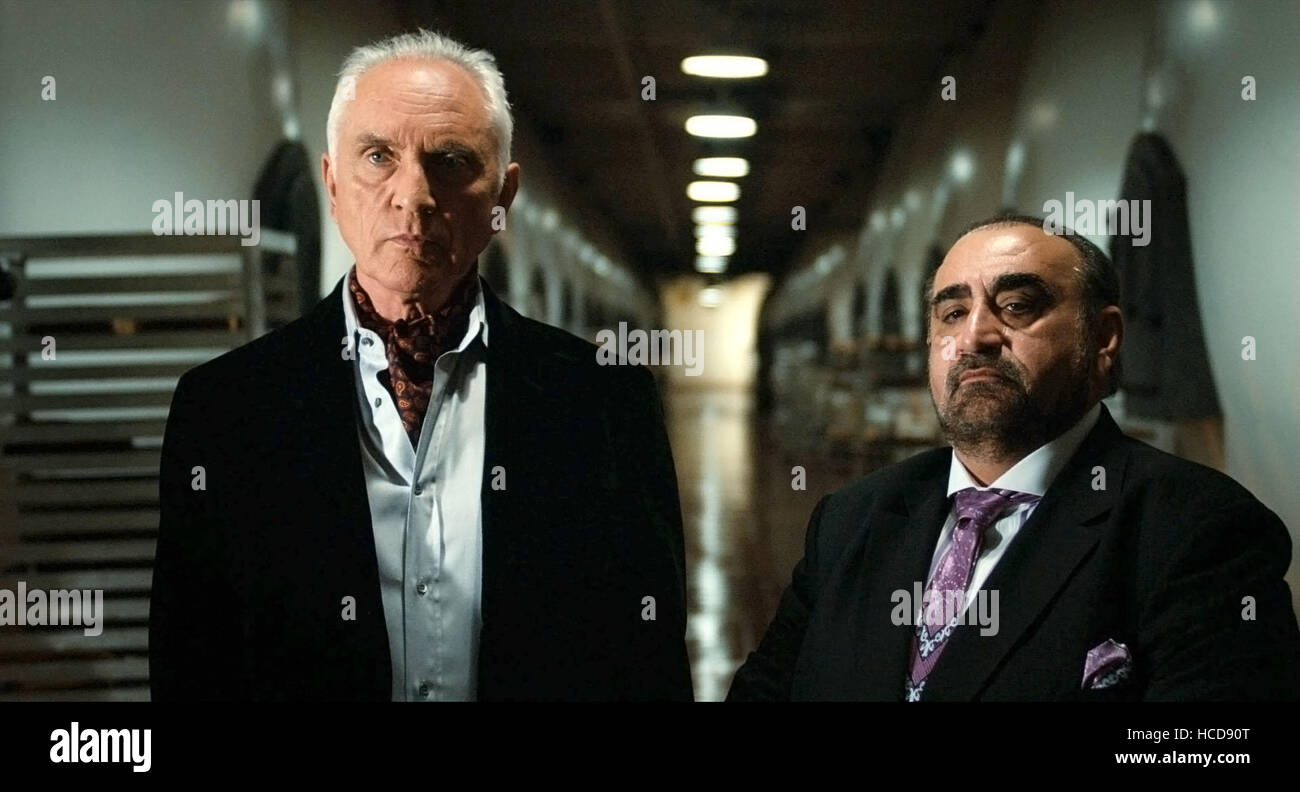 GET SMART, Terence Stamp, Ken Davitian, 2008. ©Warner Bros./courtesy ...