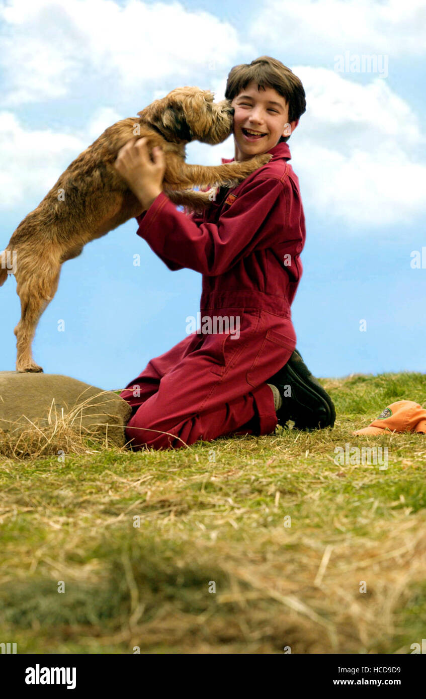 GOOD BOY!, Hubble the dog, Liam Aiken, 2003, (c) MGM/courtesy Everett ...