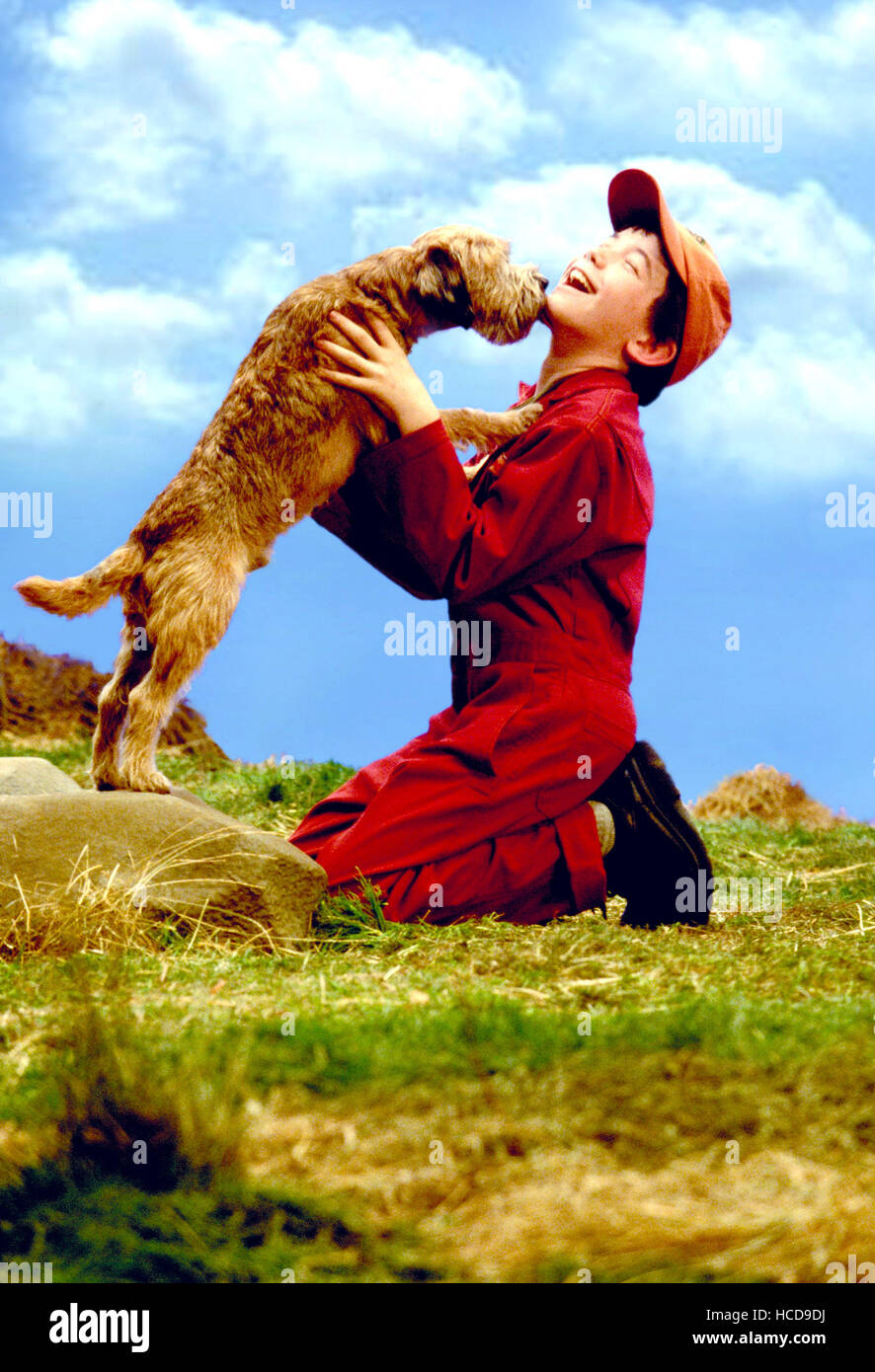 GOOD BOY!, Hubble the dog, Liam Aiken, 2003, (c) MGM/courtesy Everett ...