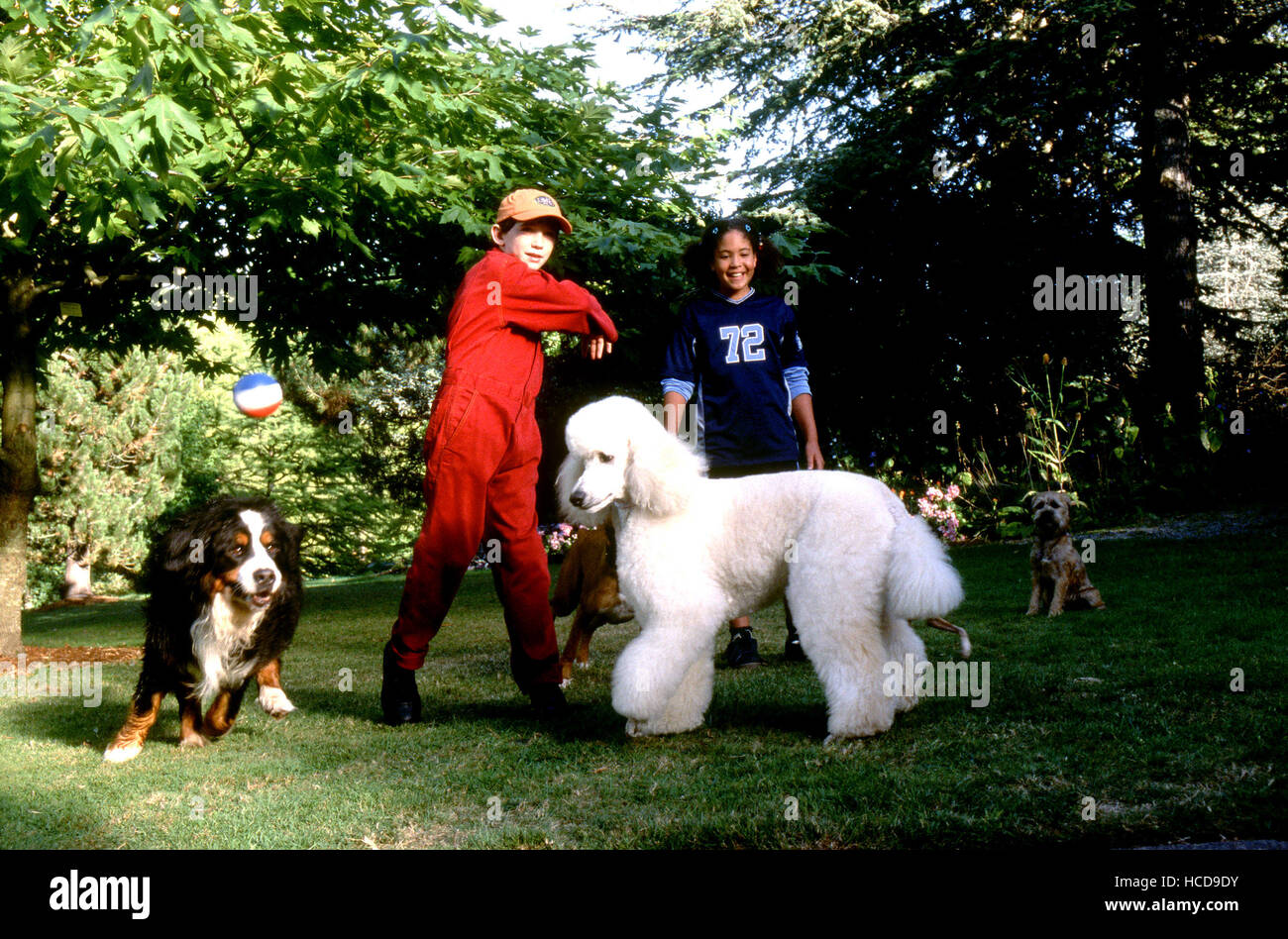 GOOD BOY!, Shep the dog, Liam Aiken, Barbara Ann the dog, Brittany ...