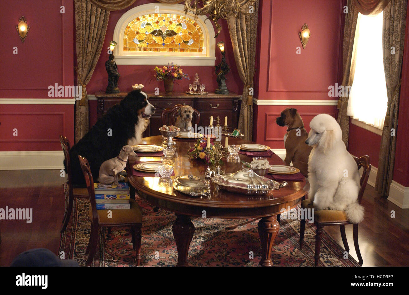 GOOD BOY!, Nelly the dog, Shep the dog, Hubble the dog, Wilson the dog ...