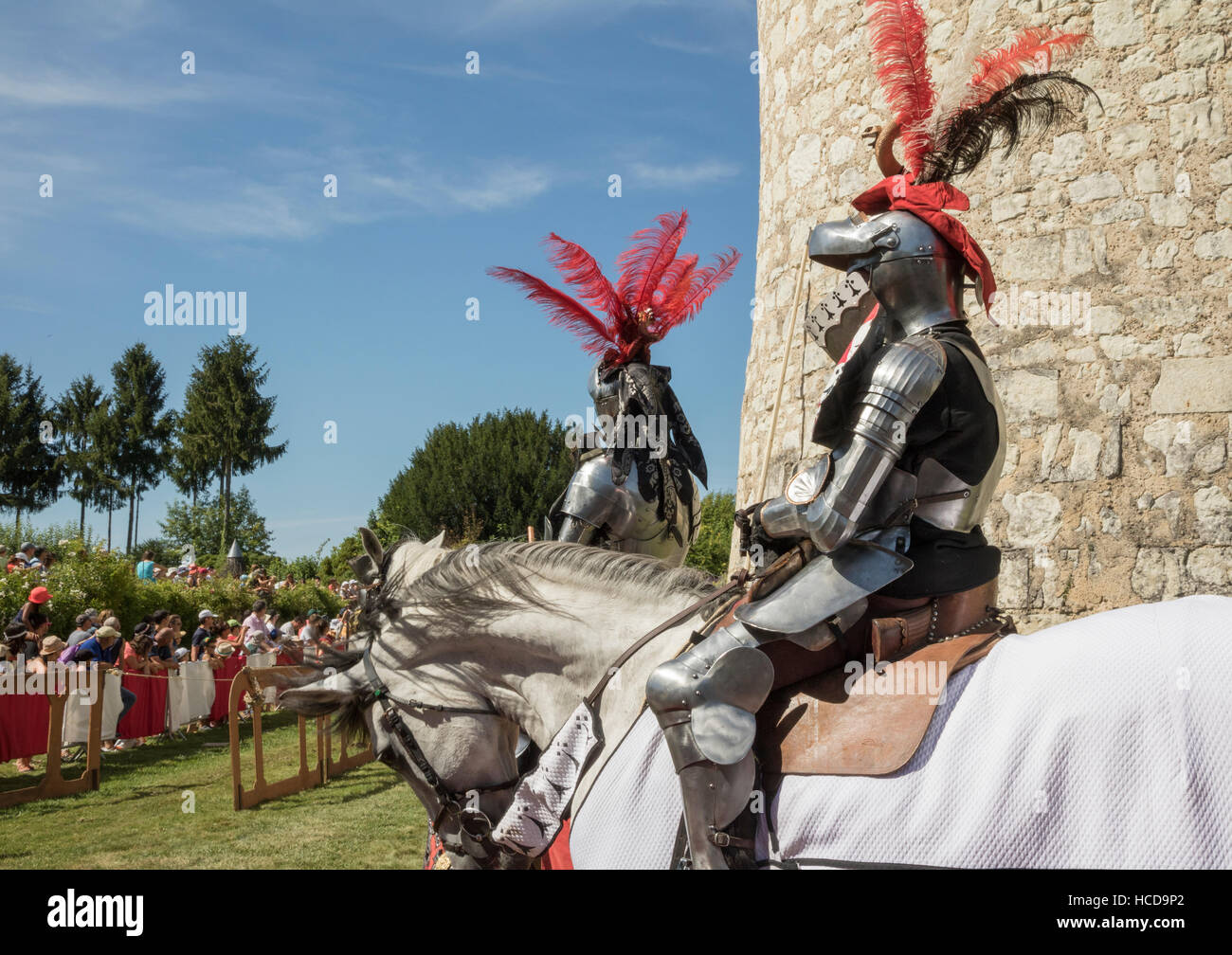 Knight feather plume hi-res stock photography and images - Alamy