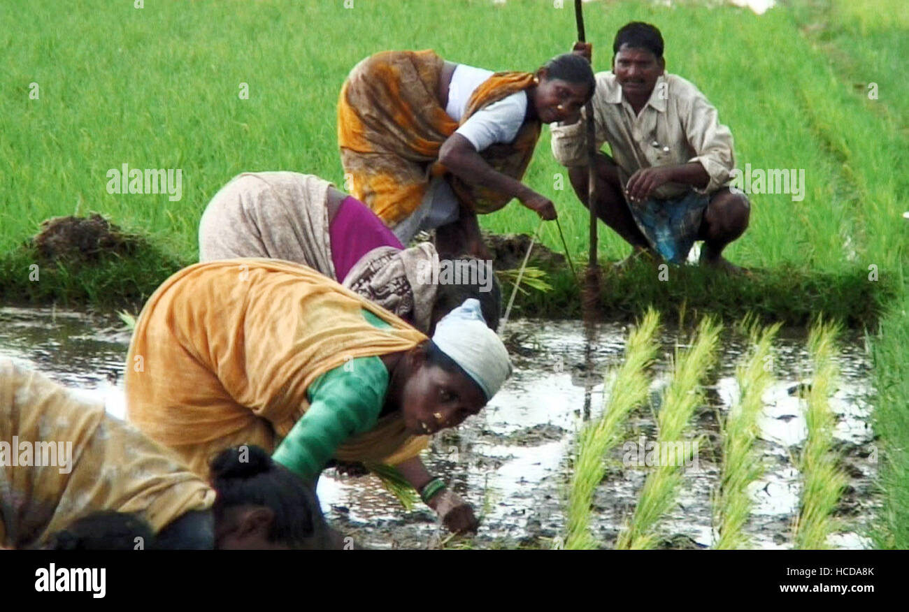 GOOD FOOD BAD FOOD, (aka THINK GLOBAL ACT RURAL, aka SOLUTIONS OUR UN ...