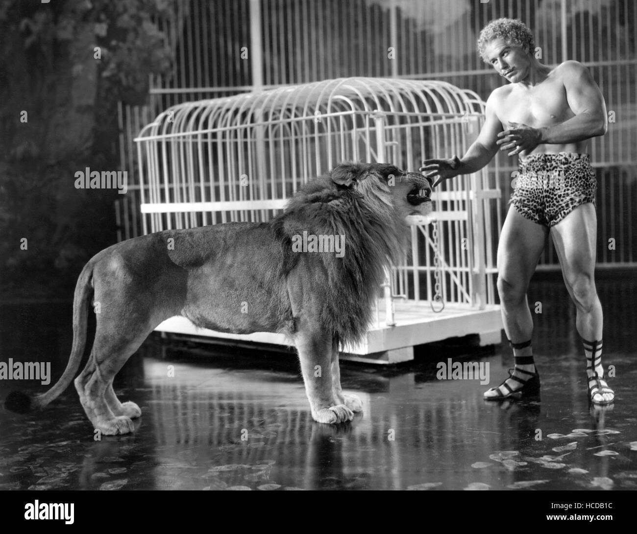 THE GREAT ZIEGFELD, Nat Pendleton, 1936 Stock Photo - Alamy
