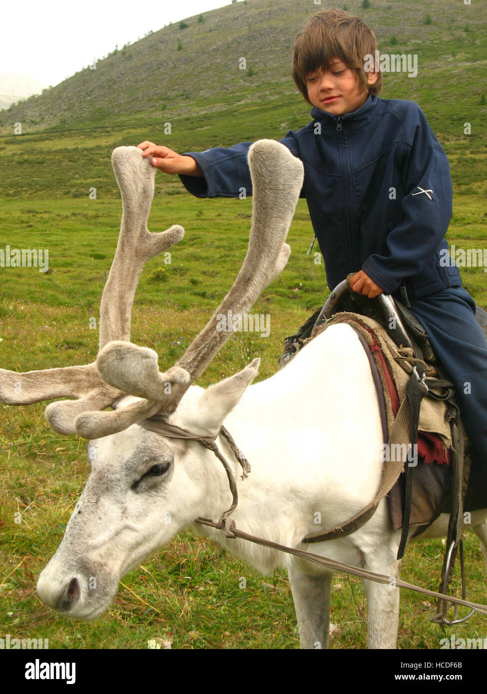 THE HORSE BOY, Rowan Isaacson on a reindeer in Mongolia, 2009. ph ...