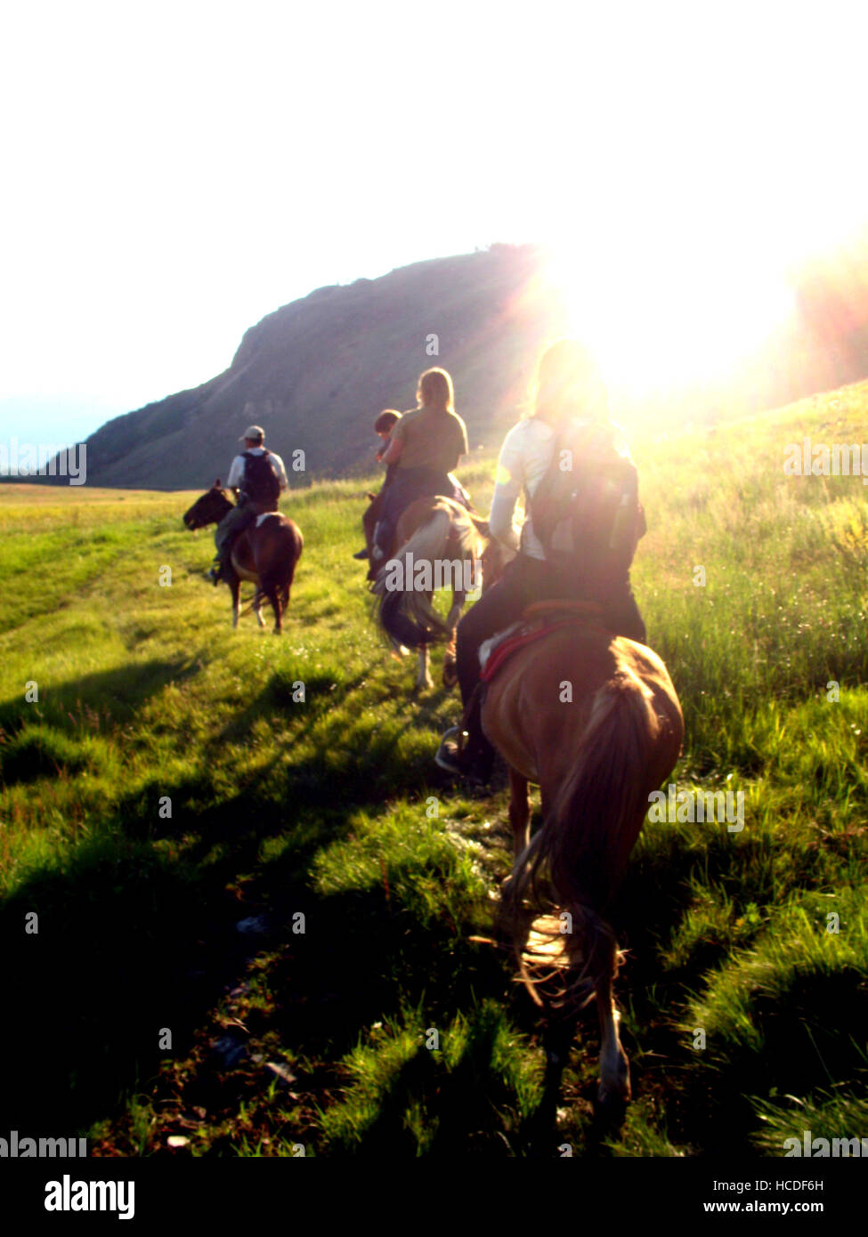 THE HORSE BOY, middle horse from left: Rowan Isaacson, Rupert Isaacson ...