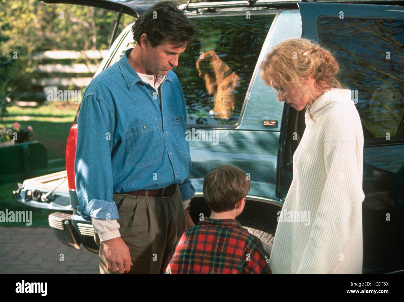 HOMEWARD BOUND II: LOST IN SAN FRANCISCO, from left: Robert Hays, Kevin ...