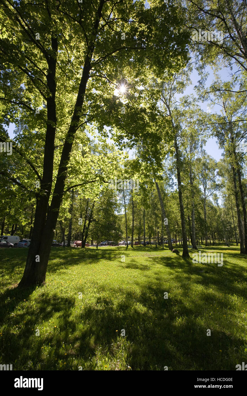 Sibelius park in Töölö, Helsinki Finland Stock Photo - Alamy