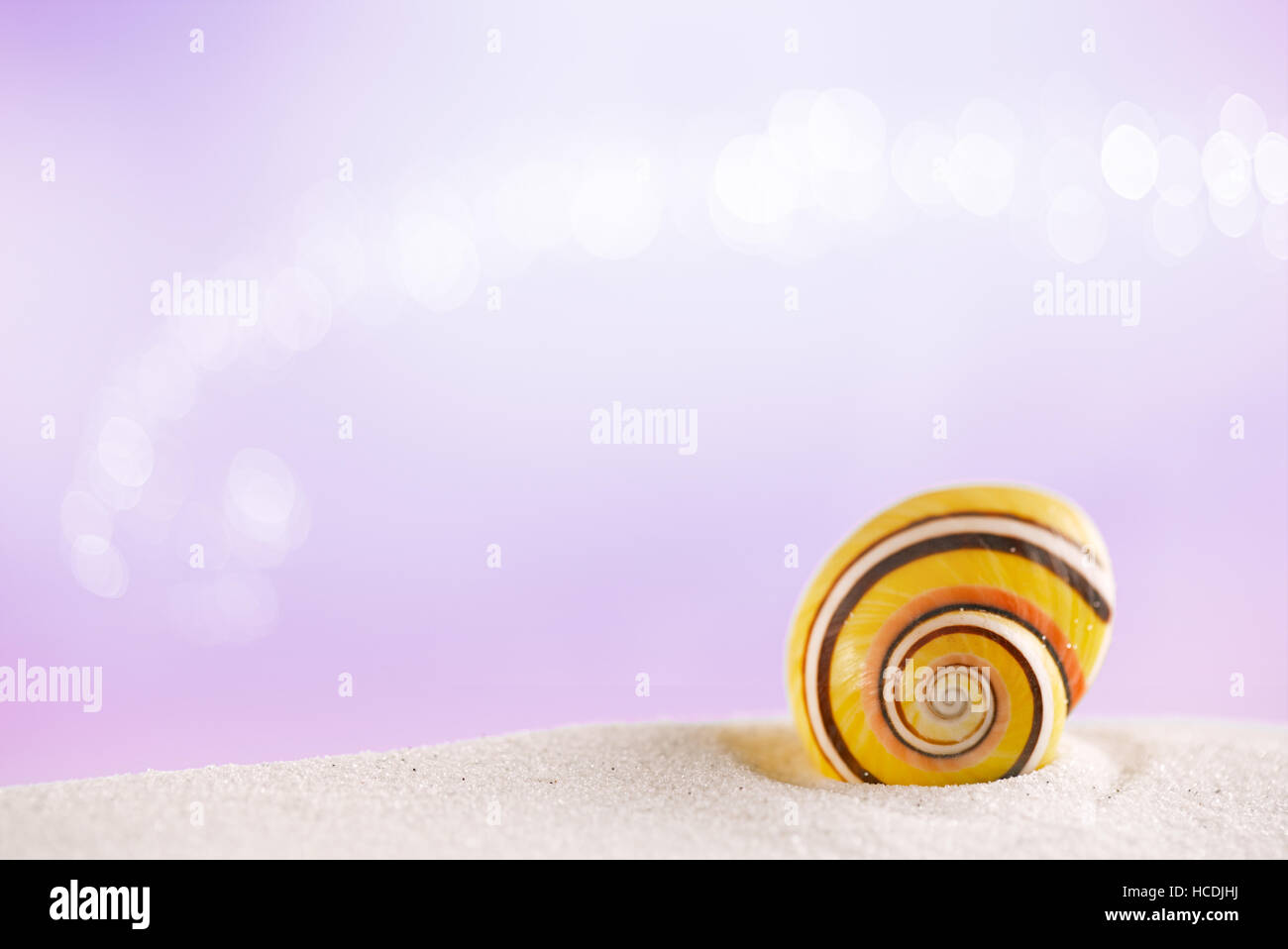 bright sea shell on white sand with festive glitter background Stock ...