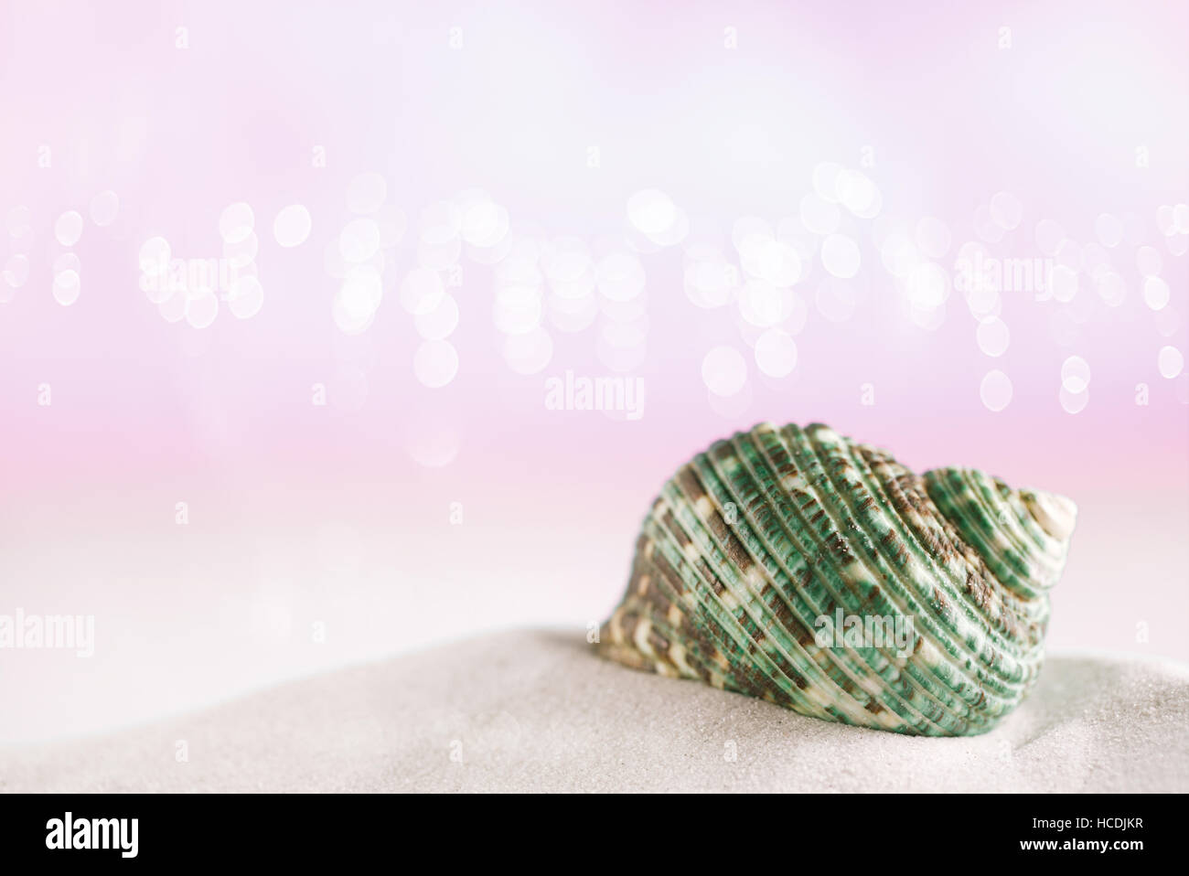 tropical green sea shell on white sand with festive glitter background ...