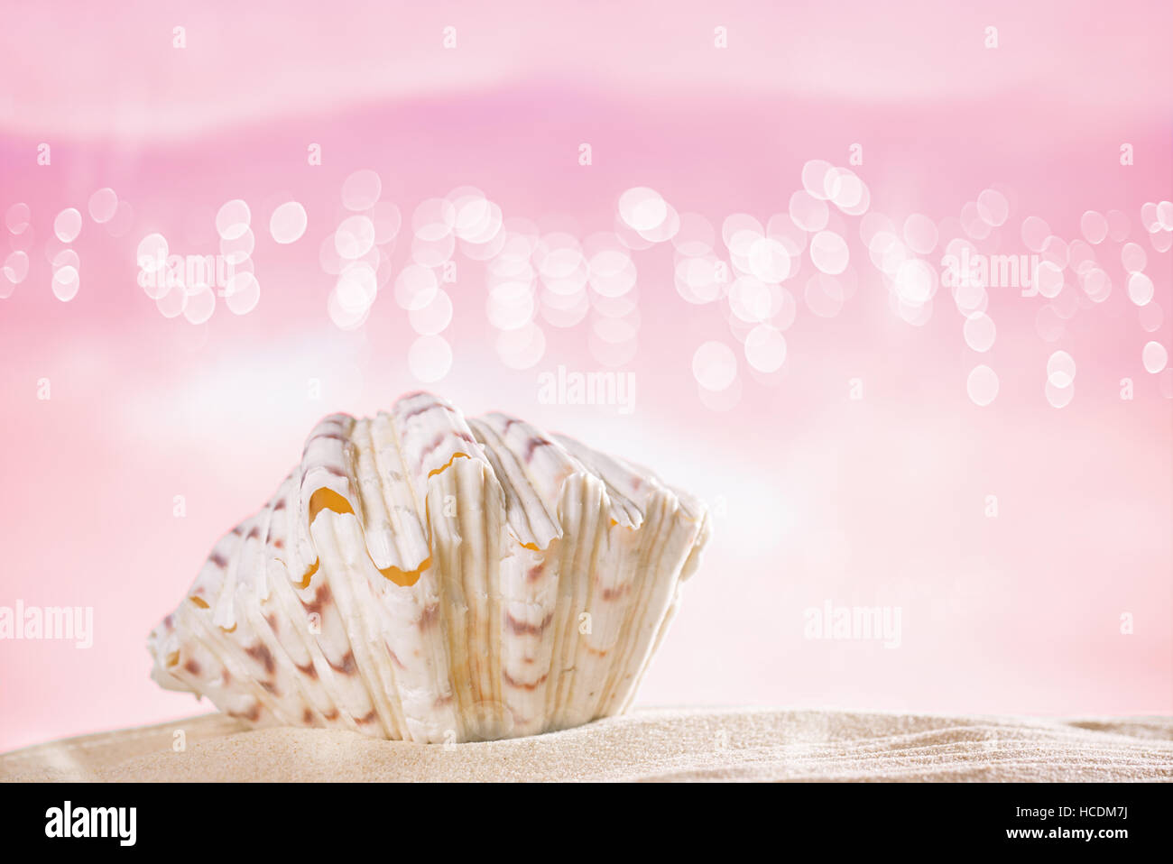 bright sea shell on white sand with festive glitter background Stock ...