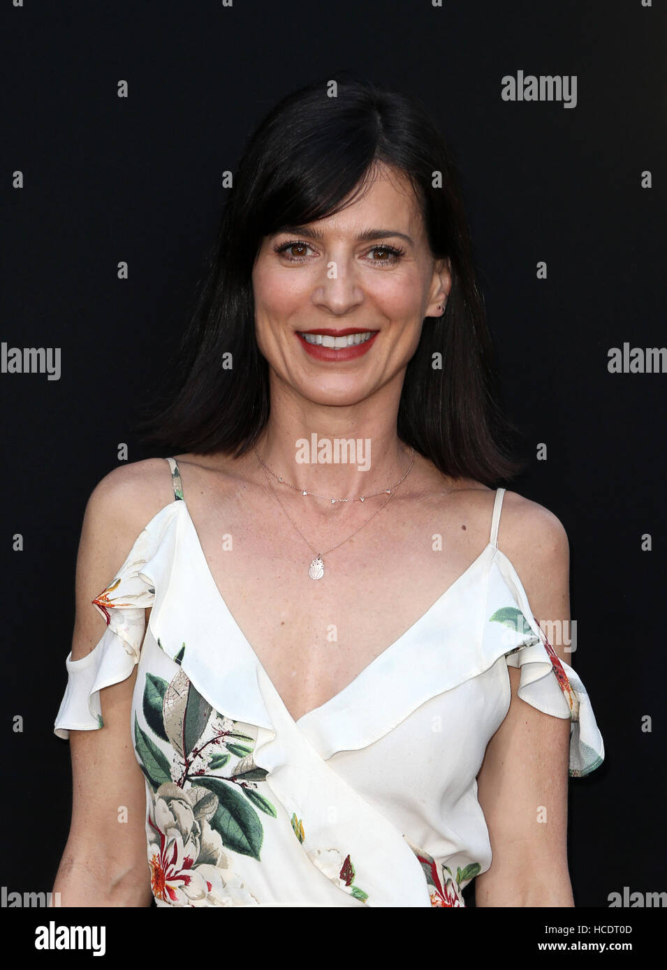 Premiere Of Warner Bros. Pictures' "War Dogs" Featuring: Perrey Reeves ...