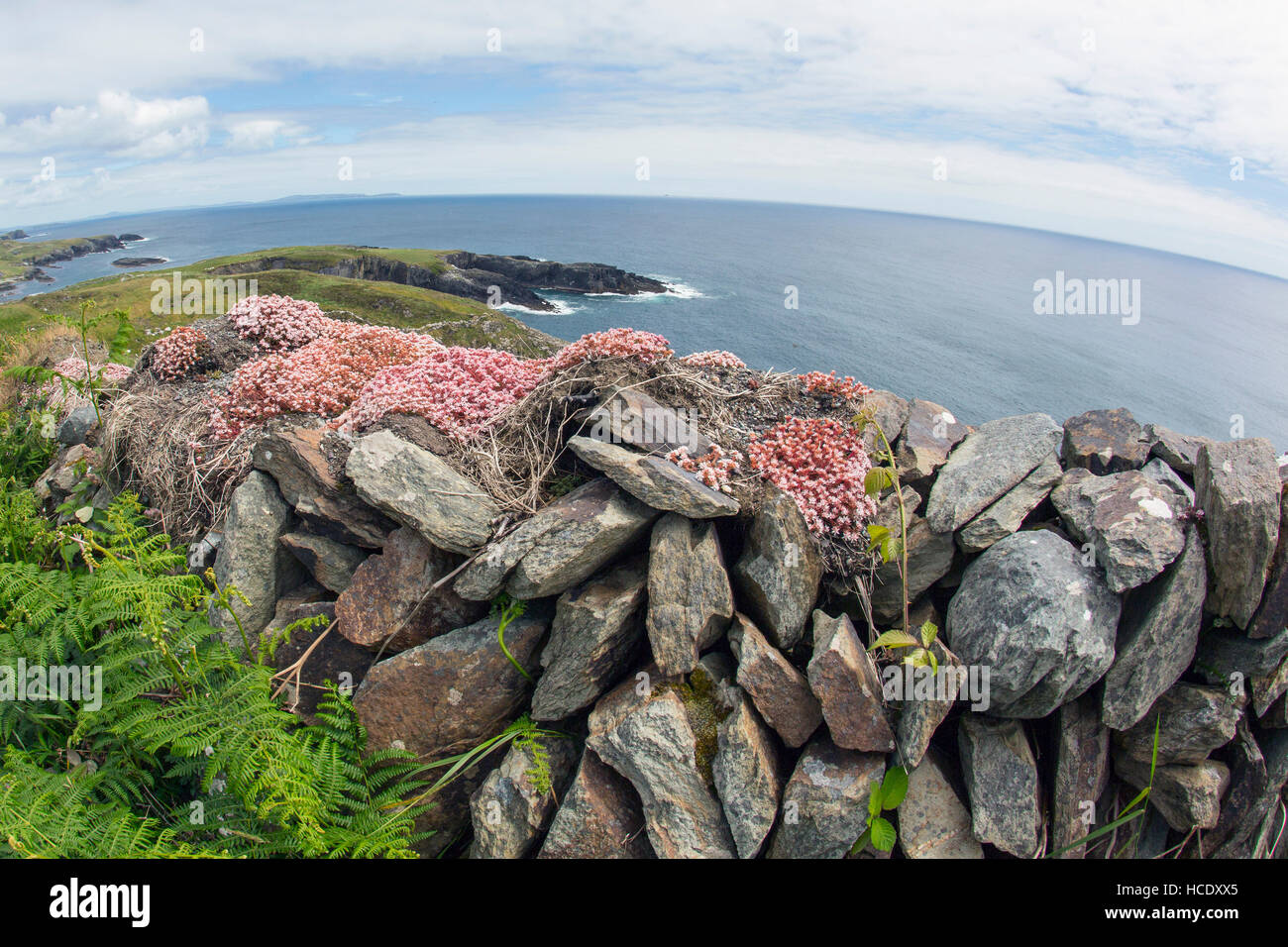 Crookhaven West Cork Ireland Stock Photo - Alamy