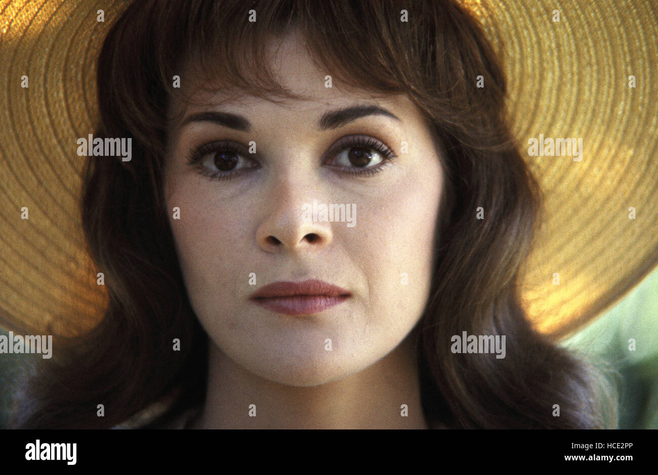 THE GROUP, Jessica Walter, 1966 Stock Photo - Alamy THE GROUP, Jessica Walter, 1966 Stock Photo - Alamy