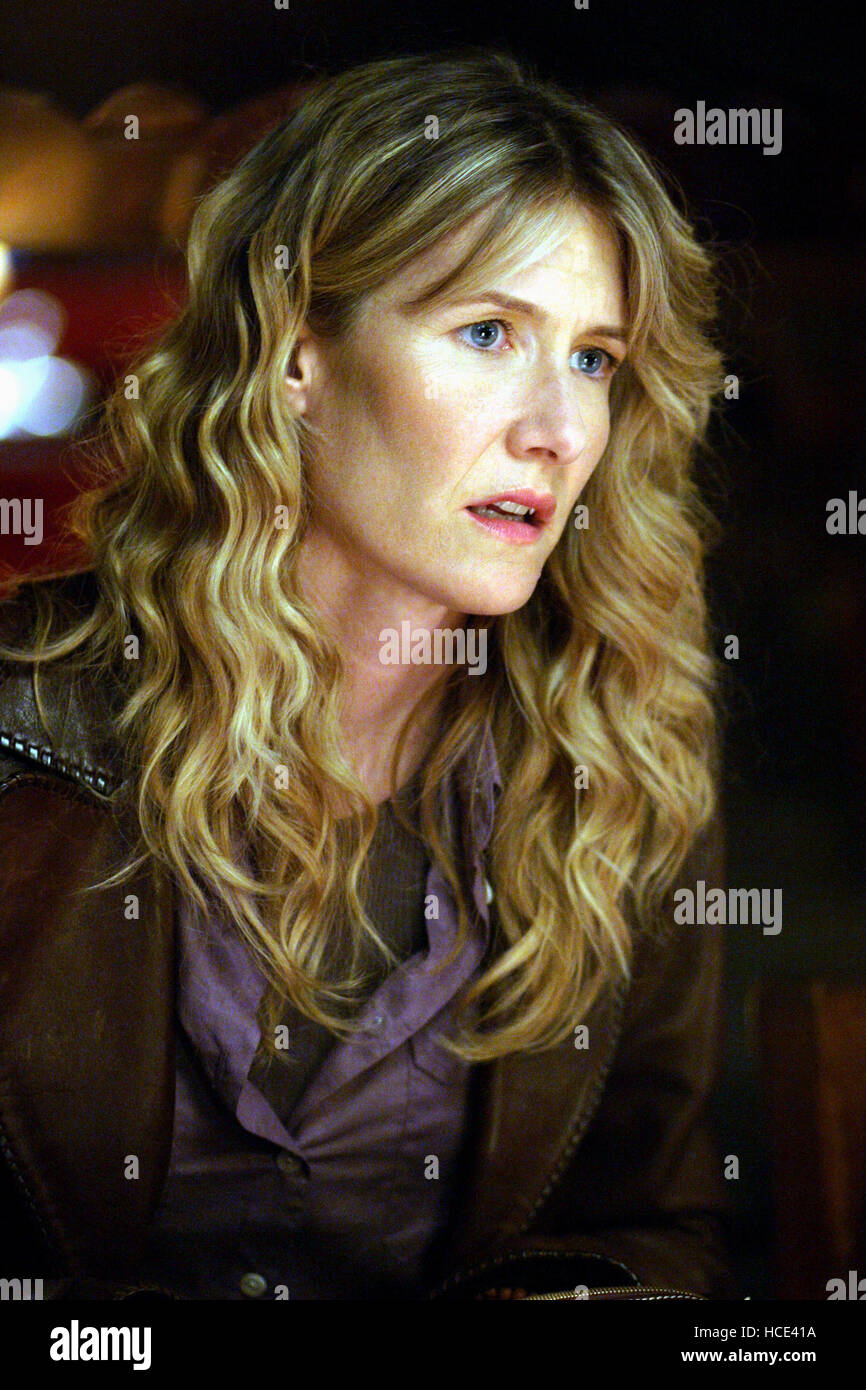 HAPPY ENDINGS, Laura Dern, 2005, (c) Lions Gate/courtesy Everett ...