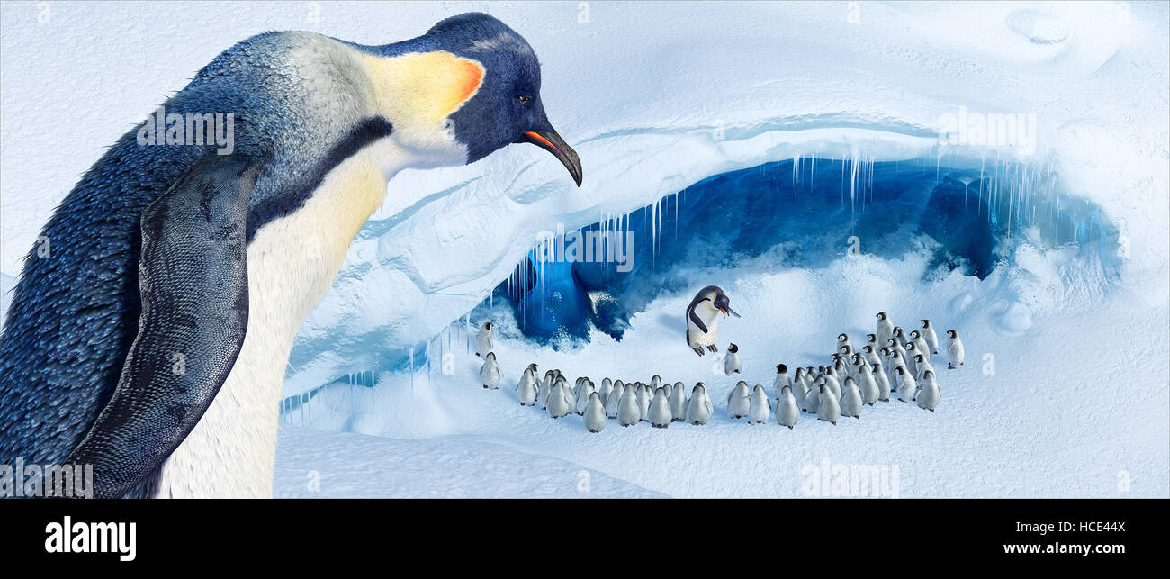 HAPPY FEET, Noah (voice: Hugo Weaving), Miss Viola (center of circle ...