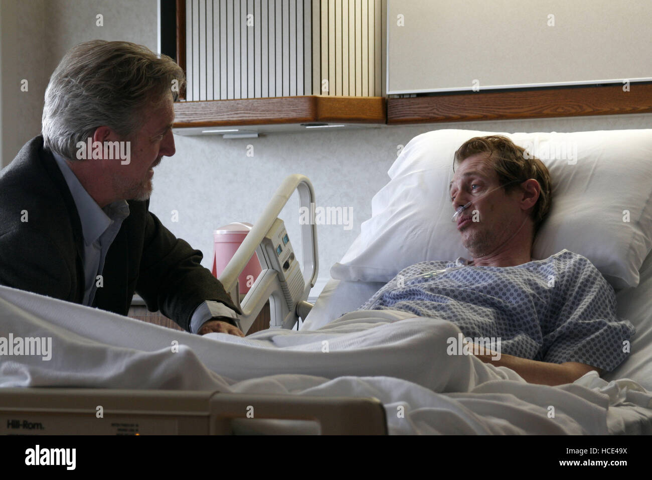 HANDSOME HARRY, from left: Jamey Sheridan, Steve Buscemi, 2009 Stock ...