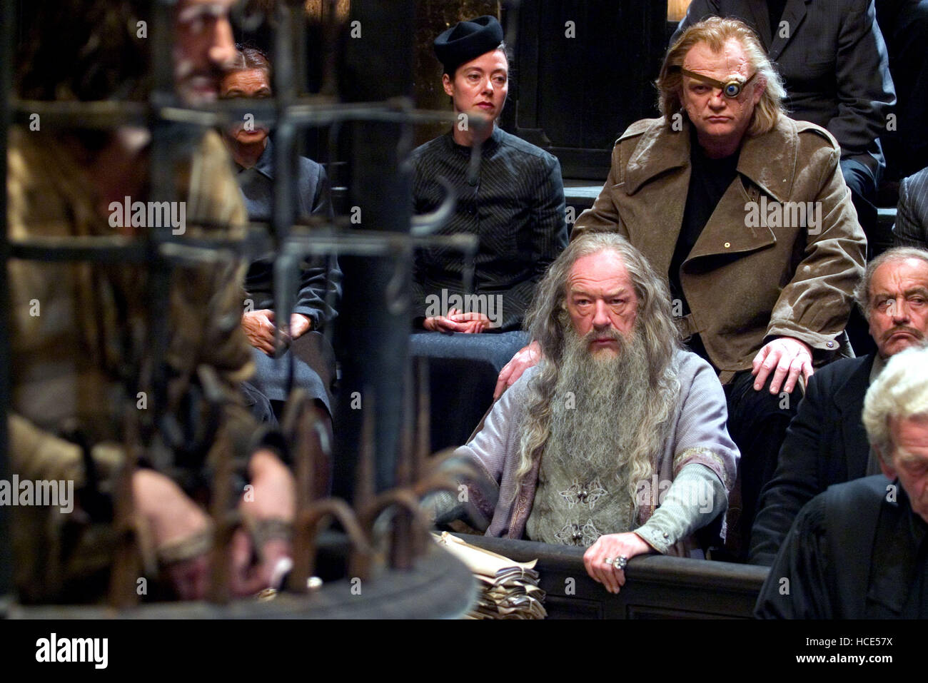 HARRY POTTER AND THE GOBLET OF FIRE, Predrag Bjelac (in cage), Michael Gambon, Brendan Gleeson ...