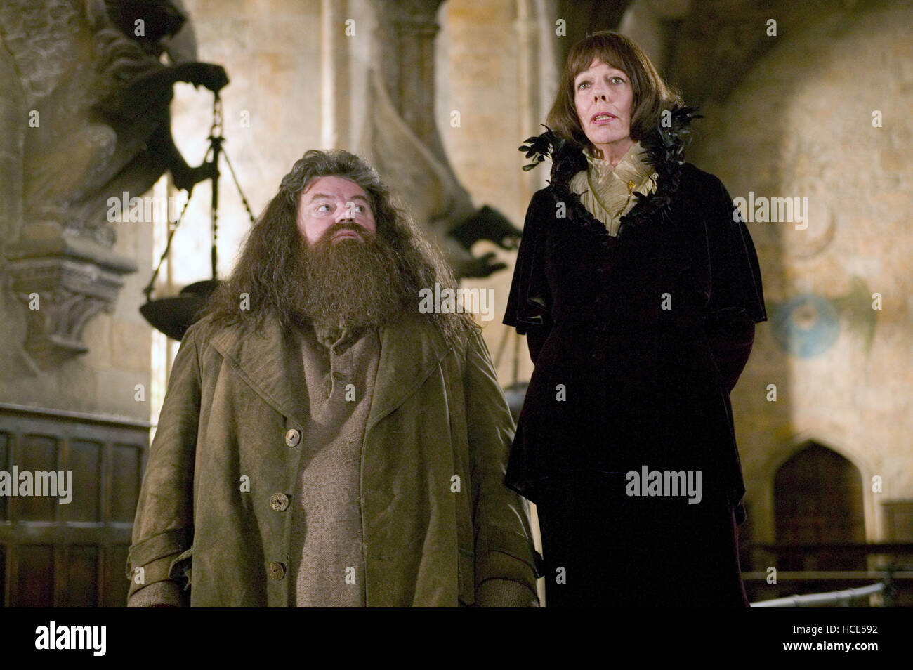 HARRY POTTER AND THE GOBLET OF FIRE, Robbie Coltrane, Frances de la ...