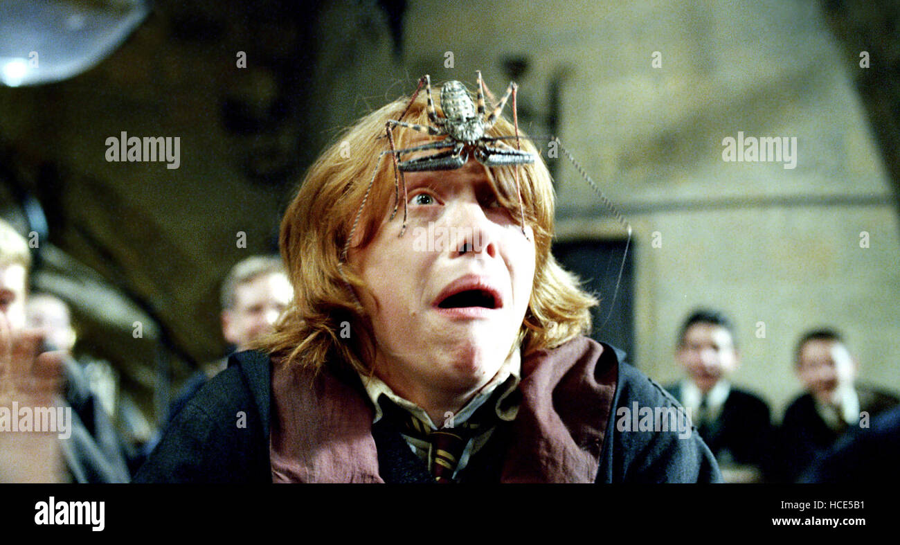 HARRY POTTER AND THE GOBLET OF FIRE, Rupert Grint, 2005, (c) Warner ...
